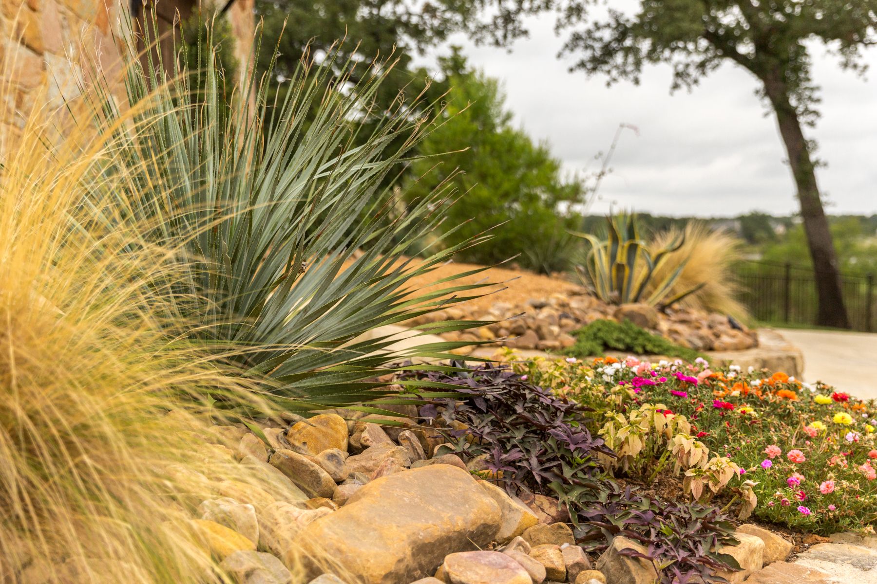 5 Front Yard Landscaping Ideas for Your North Texas Home